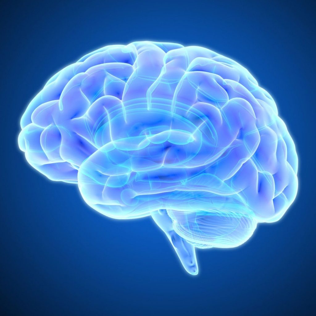 Mesial Temporal Sclerosis | NSPC Brain & Spine Surgery