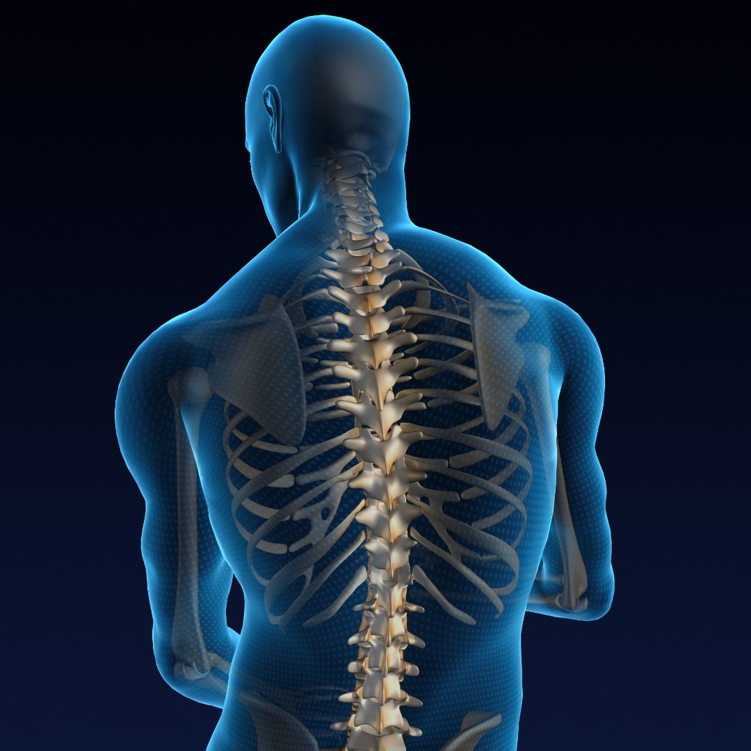Spine Specialists Long Island | Spine Doctor and Surgeon