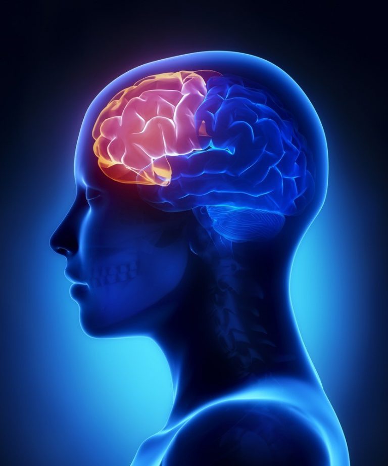 Temporal Lobectomy/ Amygdalohippocampectomy | NSPC Brain & Spine Surgery
