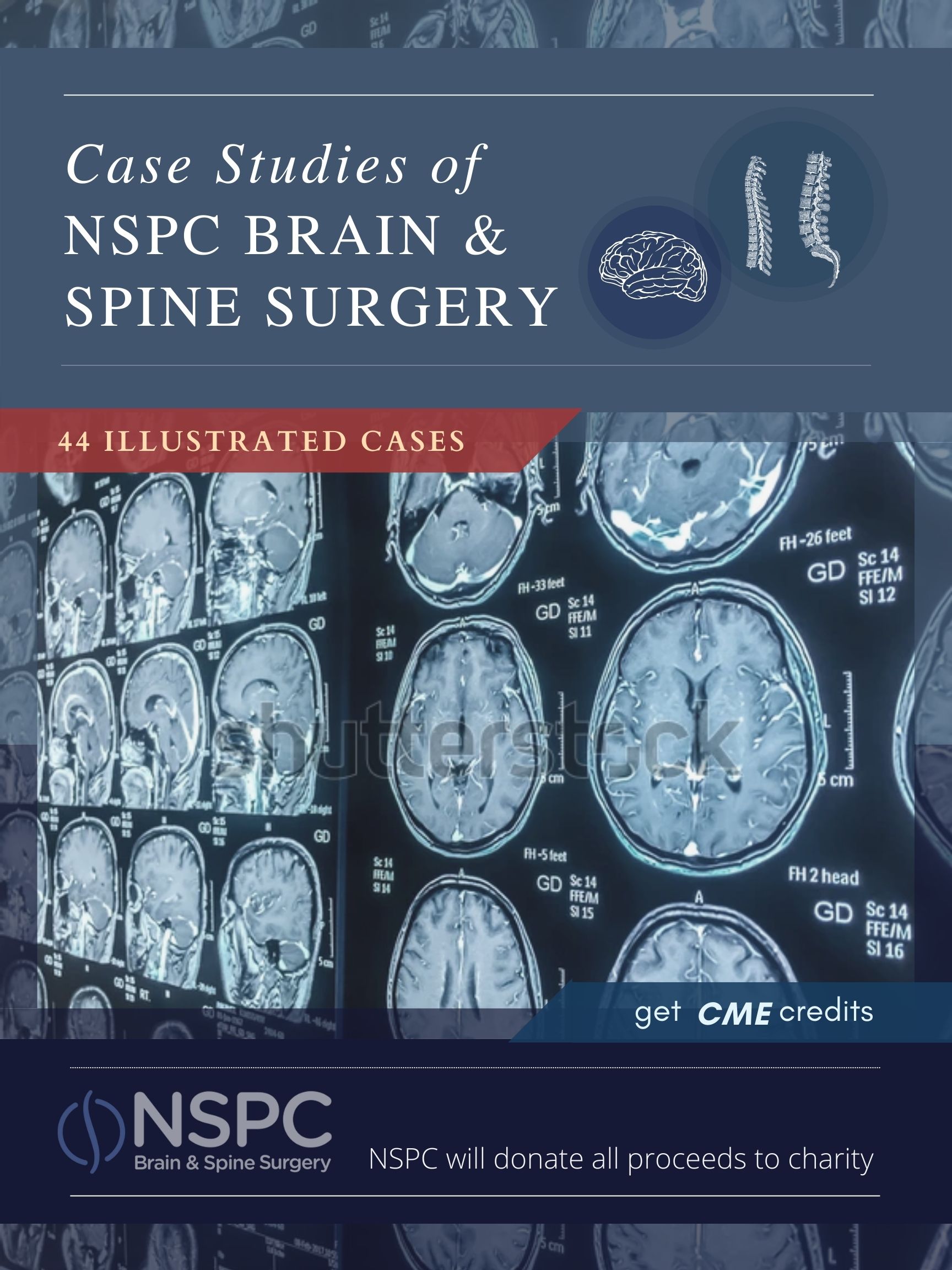 NSPC Publishes Collection of 44 Real-life Case Studies Ebook - NSPC ...
